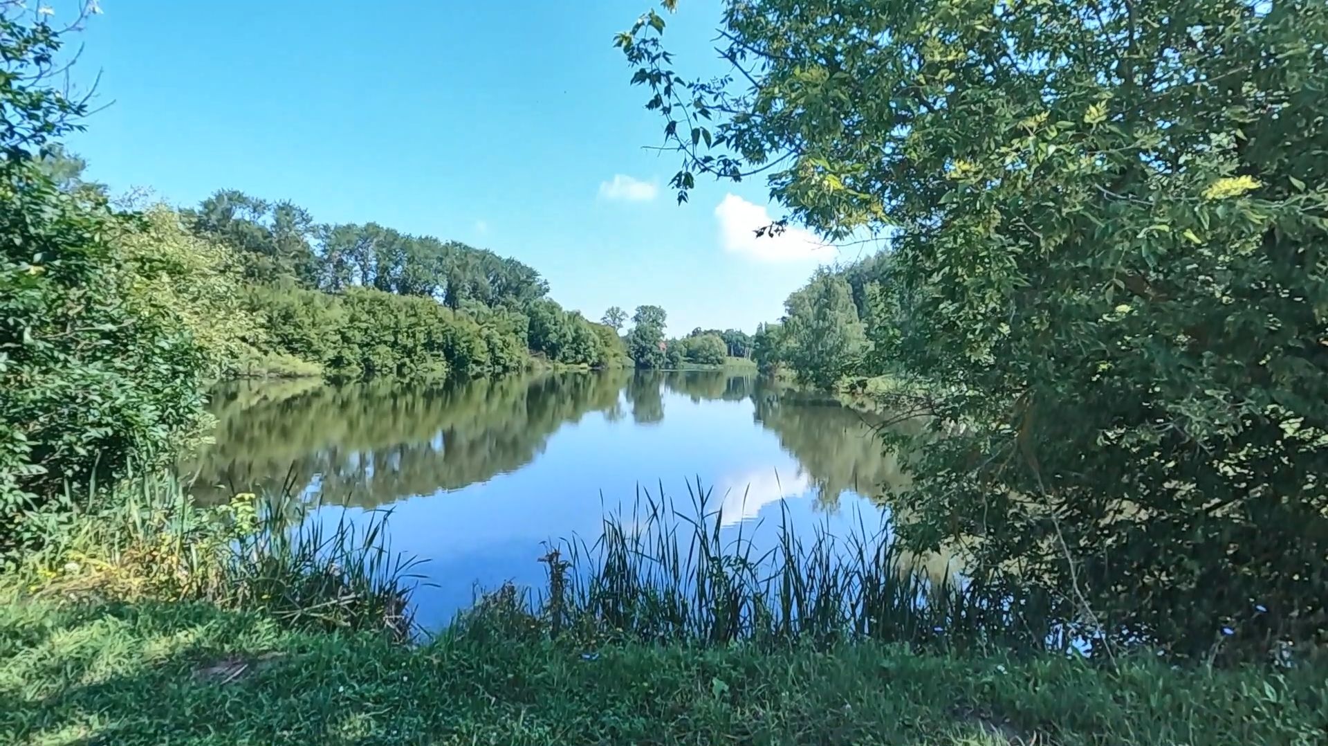 Рыбалка. Перекормили котика