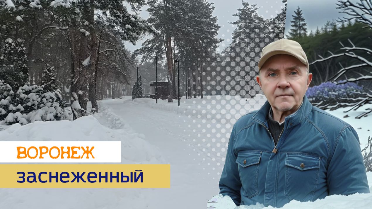 Заснеженный Воронеж, 31.01.26г.