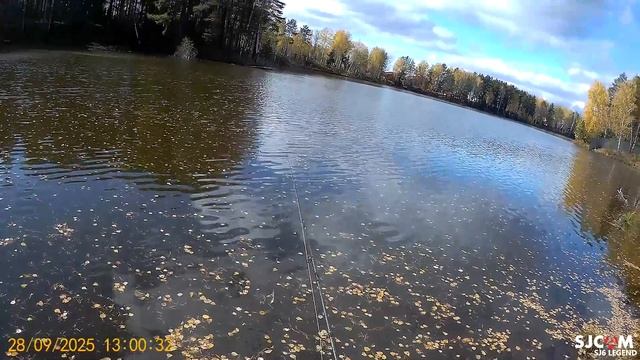 Клевая осенняя рыбалка на Березке 28.09.2025