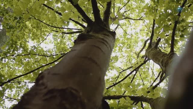 Фортепьяно, музыка для души и тела. #music #electronicmusic #2026 #Мария_Оракул