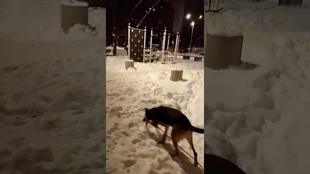 Гуляем. Лайза и Ник.