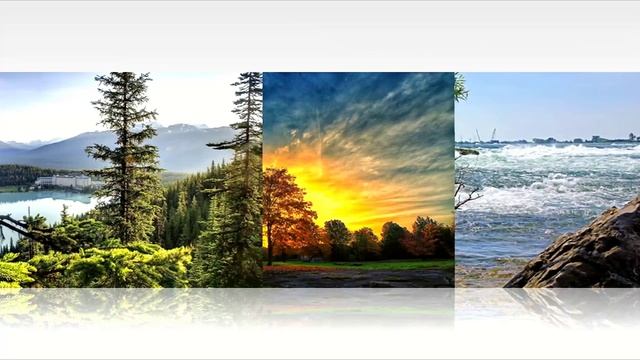 Nilotpala - Туман