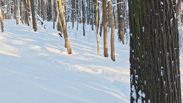 Зимняя сказка. Композитор Микаэл Таривердиев. Премьера клипа, 2026