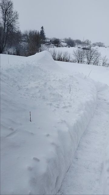 31.01.2026. В этом году глобальное потепление ушло в отпуск!
