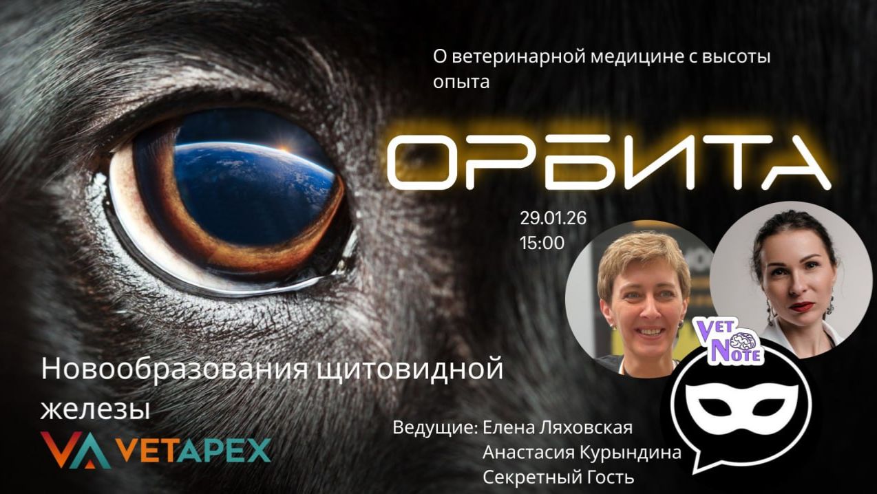 "ОРБИТА" с онкологами Еленой Ляховской, Анастасией Курындиной и Анной Королевой