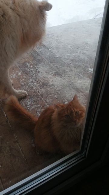 Альфушка ❤️ так весь день