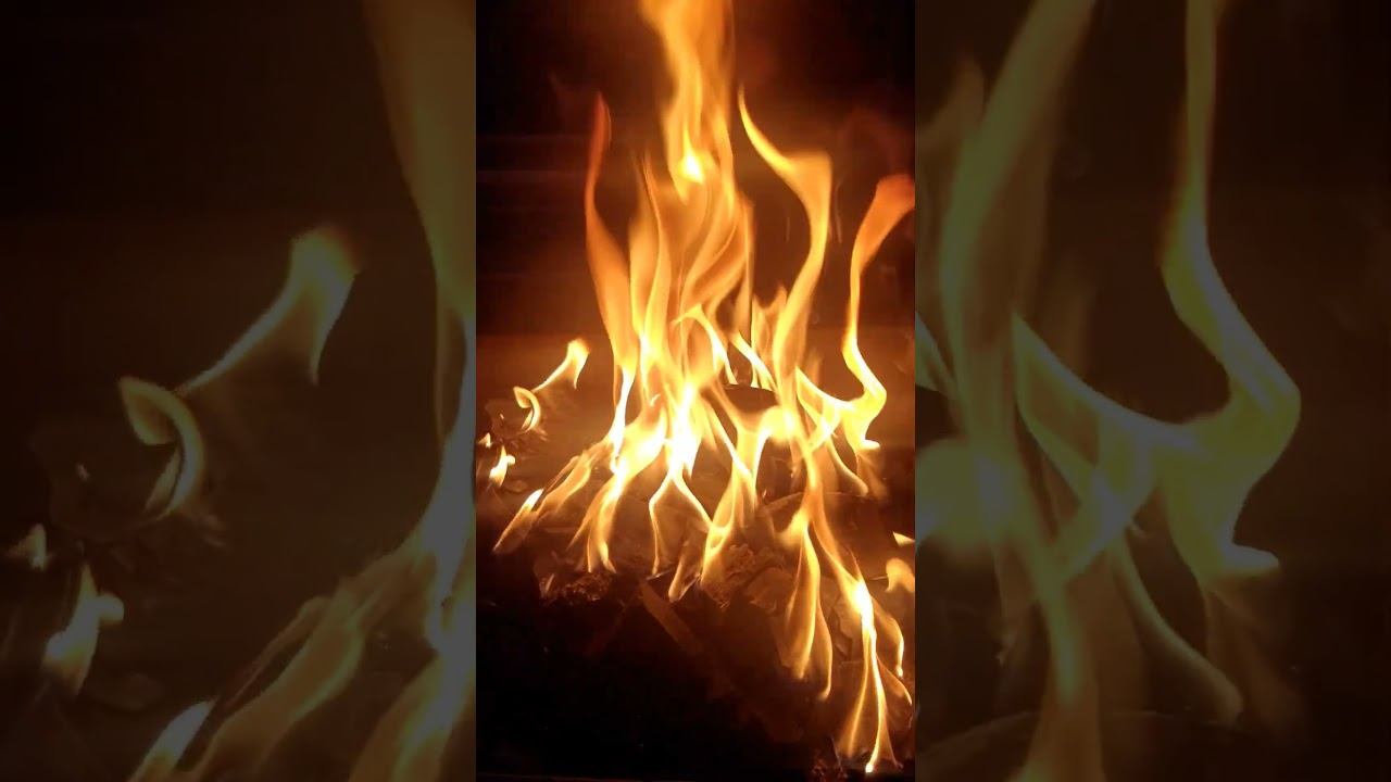 Главная причина успеха! #удачныевыходные #мужскиеценности #психология #личность #жириновский