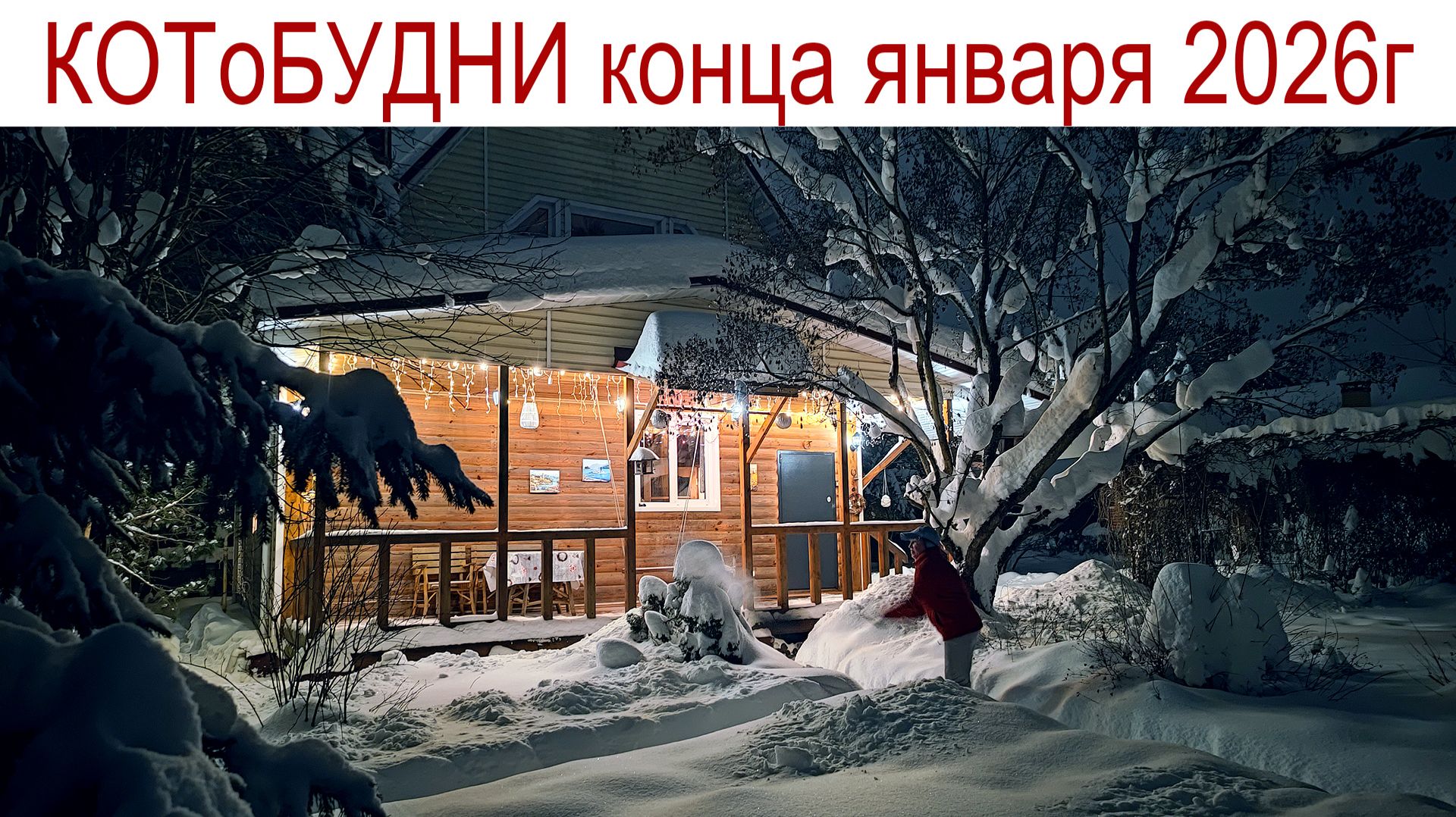 КОТоБудни последней декады января или носом обмороженным мы чуем весну!