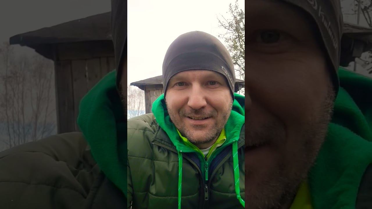 Брюссельская капуста. Собираю урожай. #удачныевыходные #огород #капуста