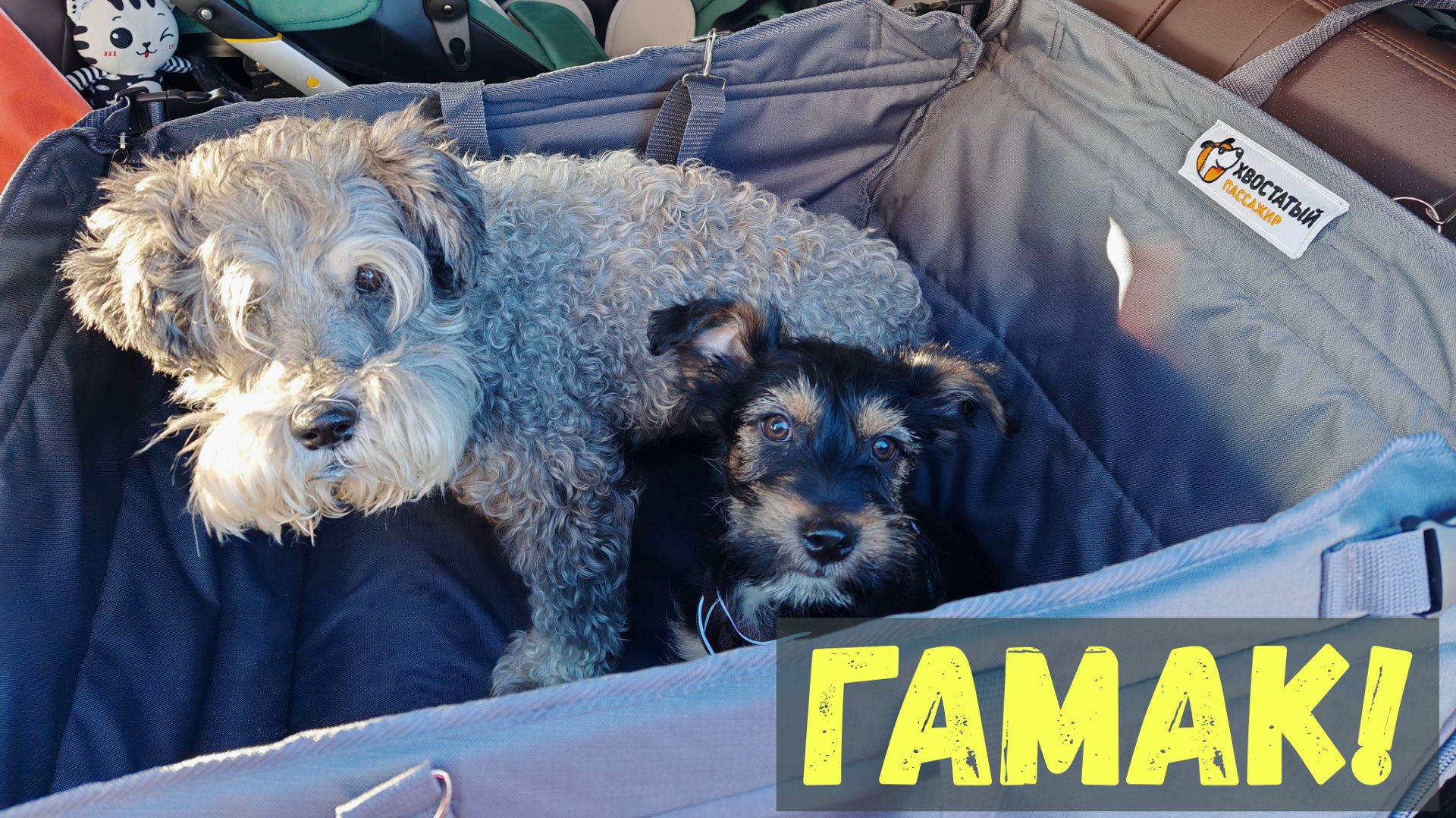 ГАМАК ДЛЯ СОБАК В МАШИНУ