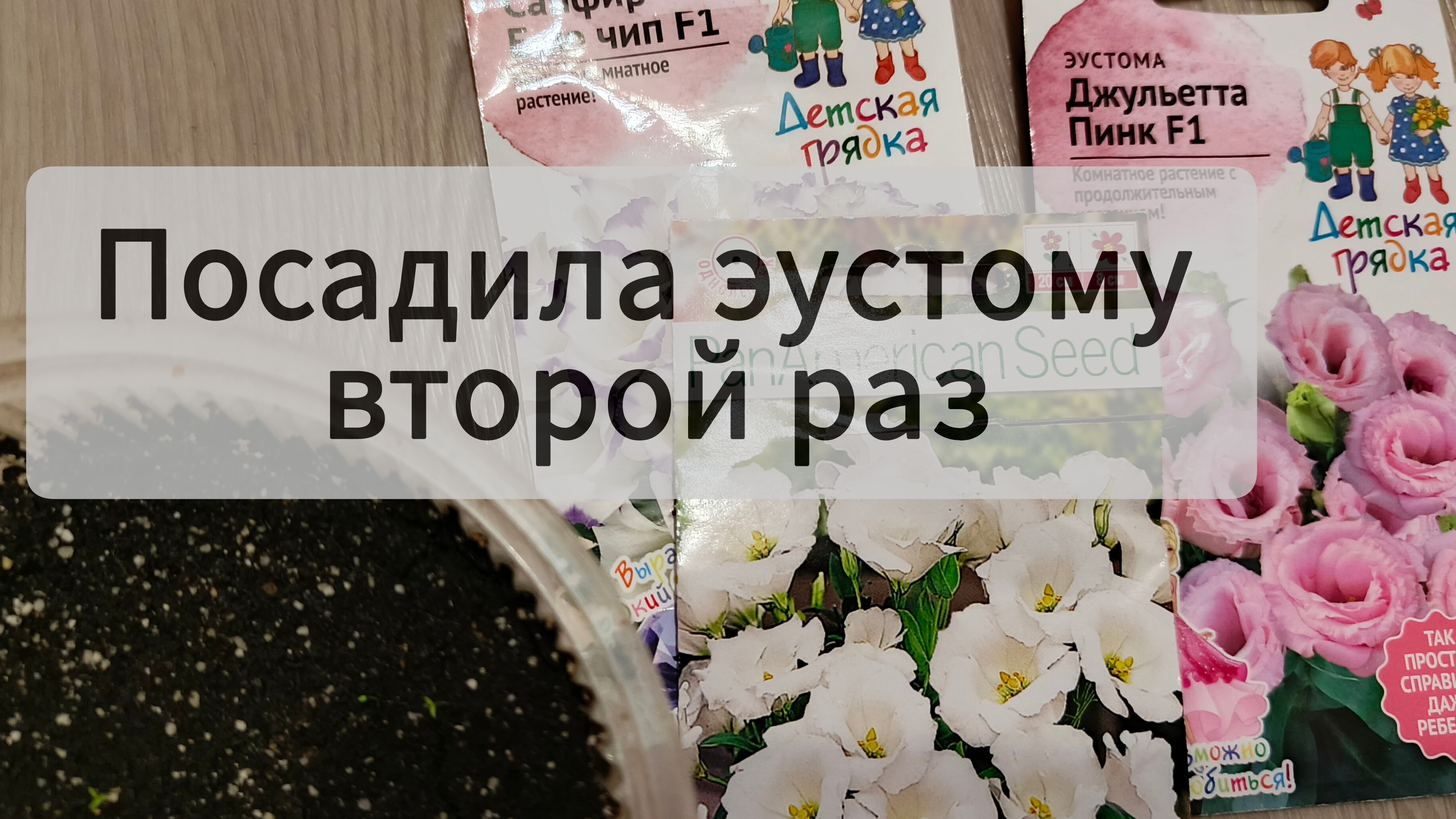 Эустома дубль 2