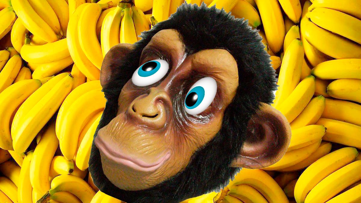 Детская песенка про обезьянок - Видео для детей - Песенки для малышей - Веселые песни детям