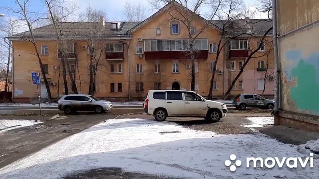 Слива цветет. Опять гарнитур. Село Пивань.