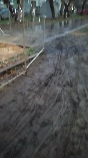 №983 ул. Полины Осипенко. 7 ноября 2025 г., 17:31:10 VID_20251107_173026208