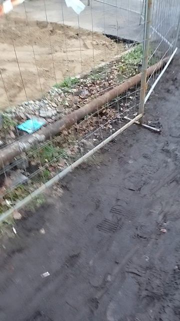 №986 ул. Полины Осипенко. 9 ноября 2025 г., 16:51:28 VID_20251109_165051185