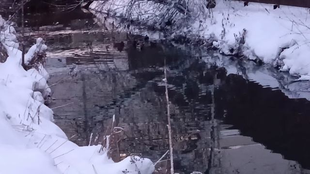 Немного прогулки по Немчиновке в Подмосковье