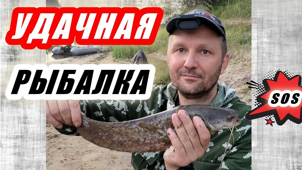 Как мы поймали сома на фидер? Река Ветлуга Нижегородская область.