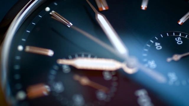 Dog Unit - When Do We Start Fighting  (Music video)