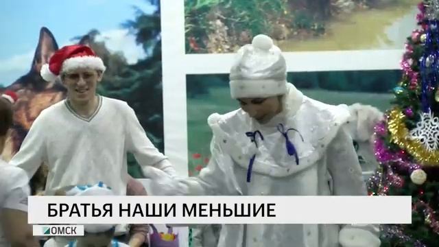 Братья наши меньшие.