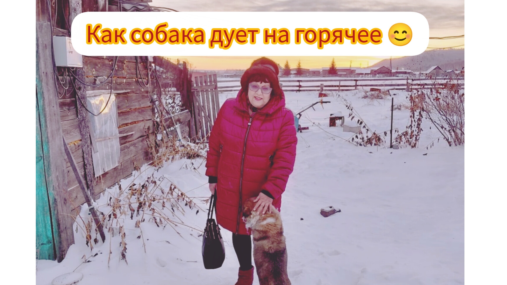 #СОБАЧКА МУХА И ЕË ПРИВЫЧКИ #спасенное_животное