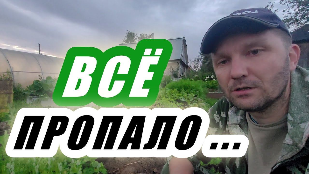 как МОРОЗ и ЛИВНИ погубили мой урожай... Обзор участка на 20 июля 2023 года.