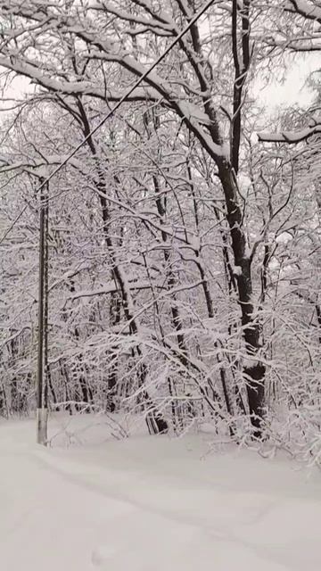 Последний день января