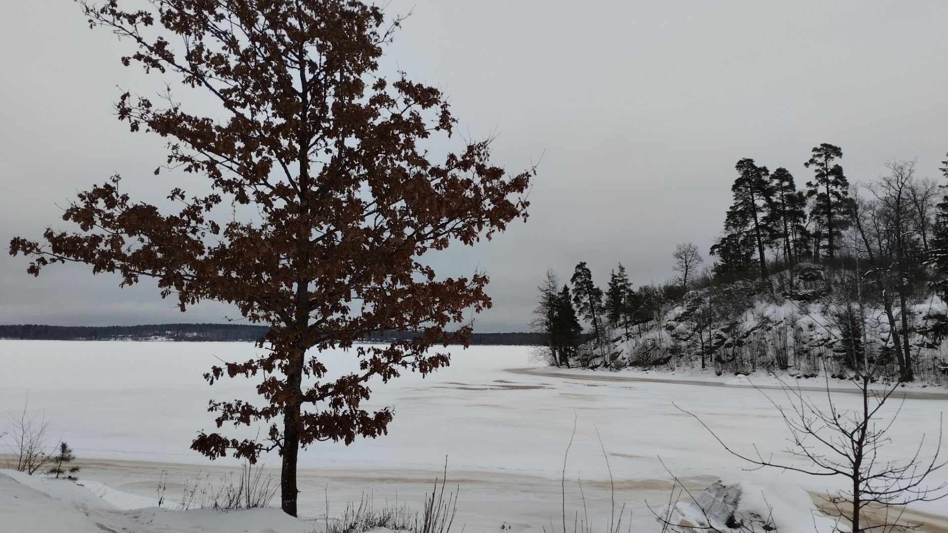 Выборг \ Парк Монрепо 2