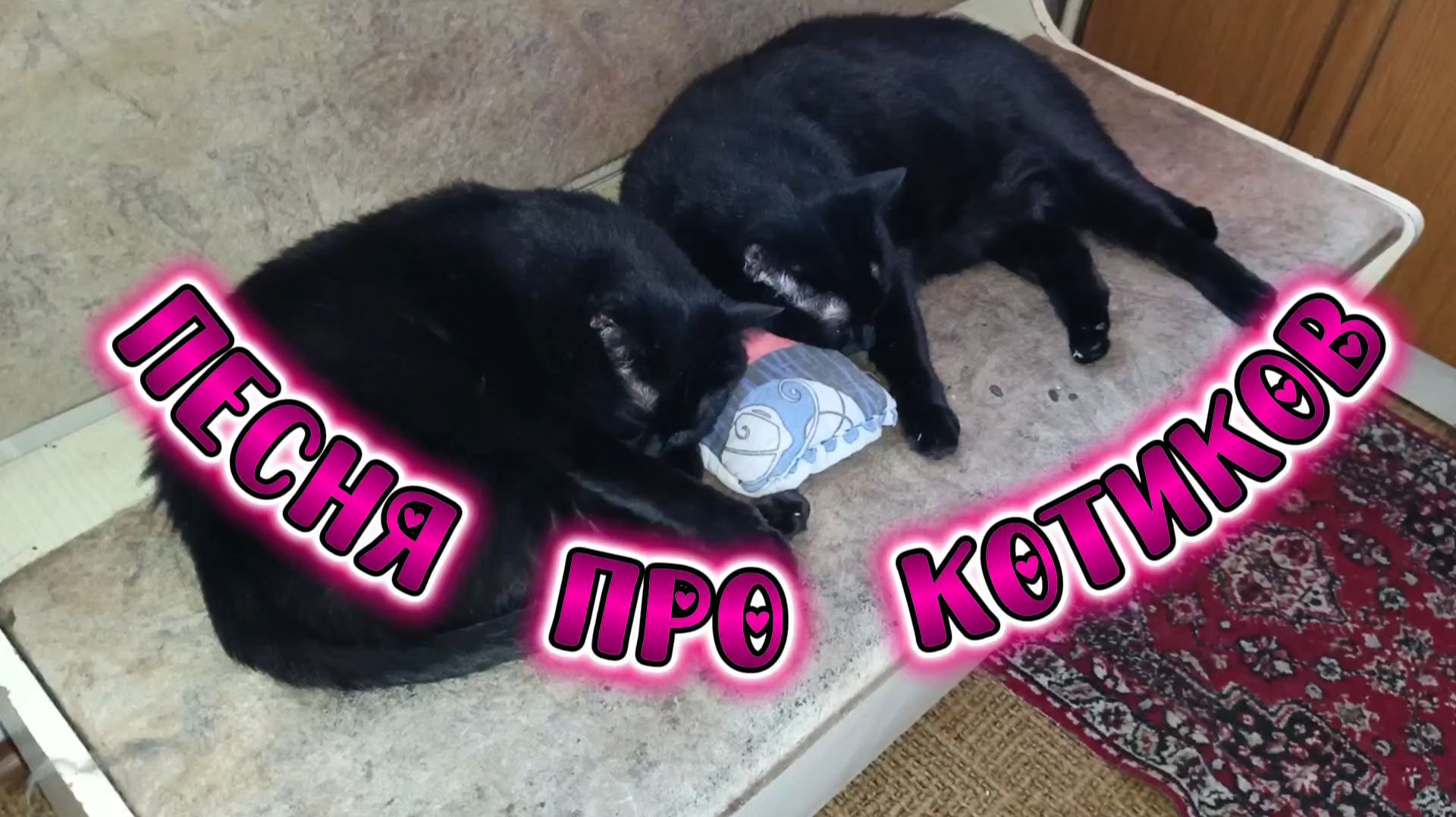 ПЕСНЯ ПРО КОТИКОВ. Котики играли, котики устали.
