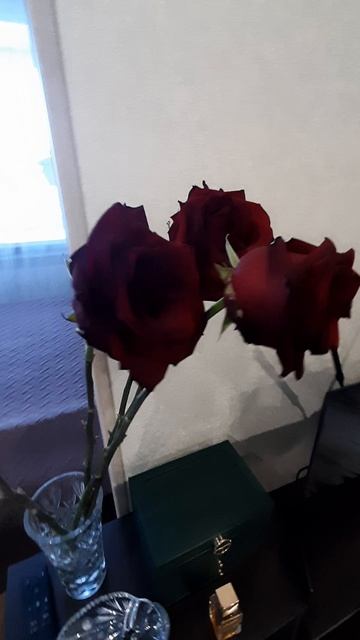 #Розы не вянут#цветыдома#