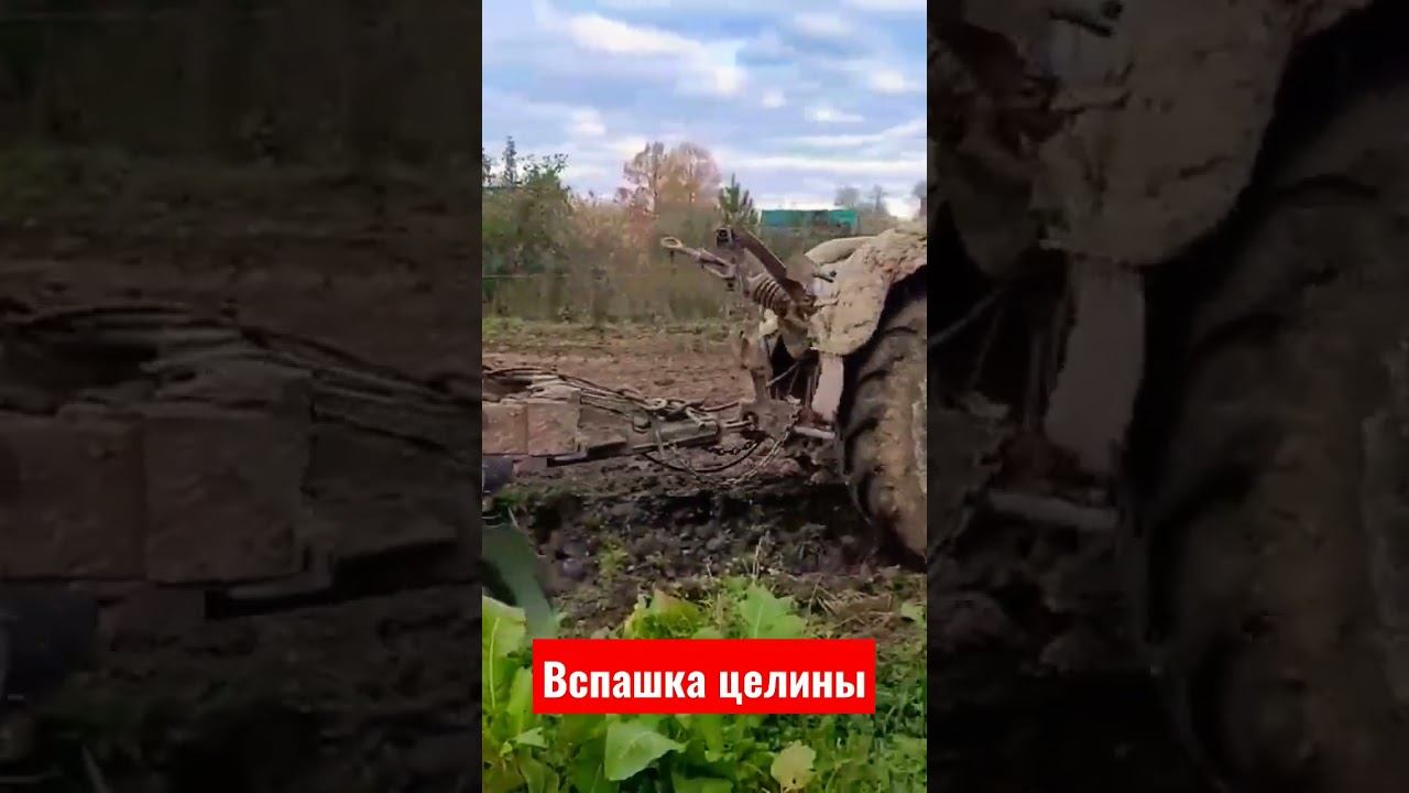 Трактор за работой на вспашке целины. Поле не пахали 20 лет.