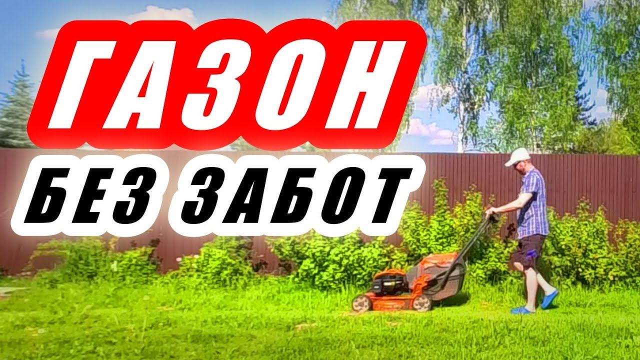 Как скосить траву на дачном участке после долгого отсутствия?