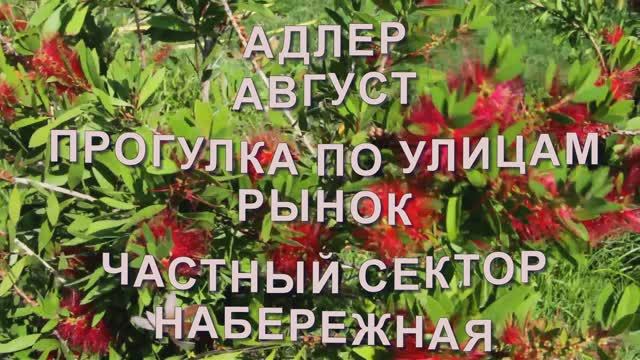 АДЛЕР. НАБЕРЕЖНАЯ. ЧАСТНЫЙ СЕКТОР. РЫНОК. ЦЕНЫ (архив 2015)