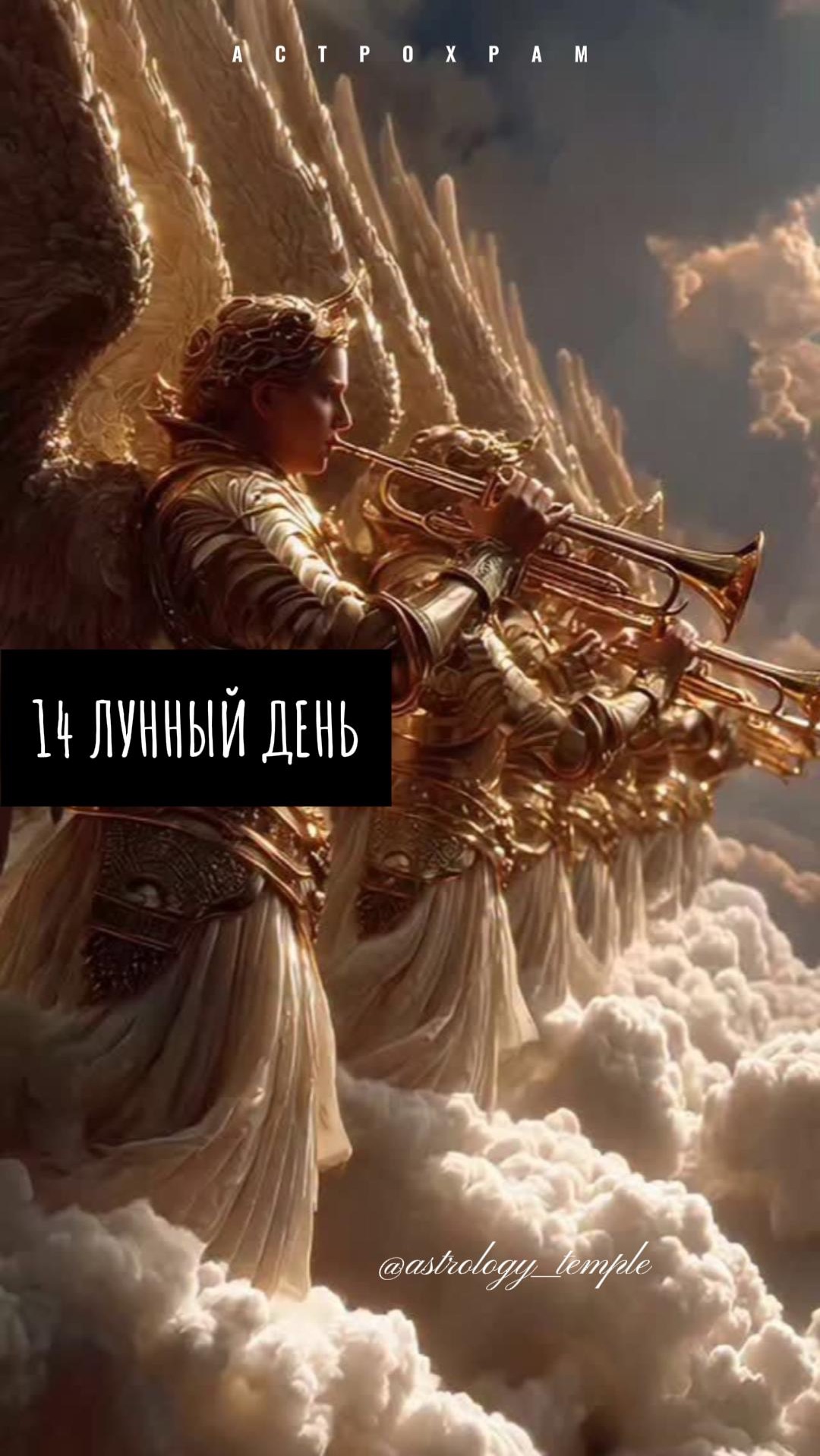 📅 ВС, 1.02.2026 🌛 14 лунный день | Растущая Луна во Льве  🪄