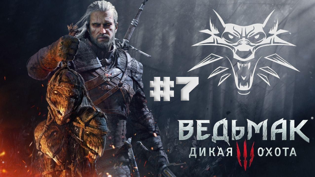 The Witcher 3 Wild Hunt part 7