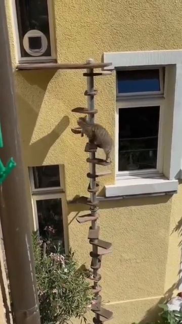 Я поселился там, где летают мои пернатые друзья!