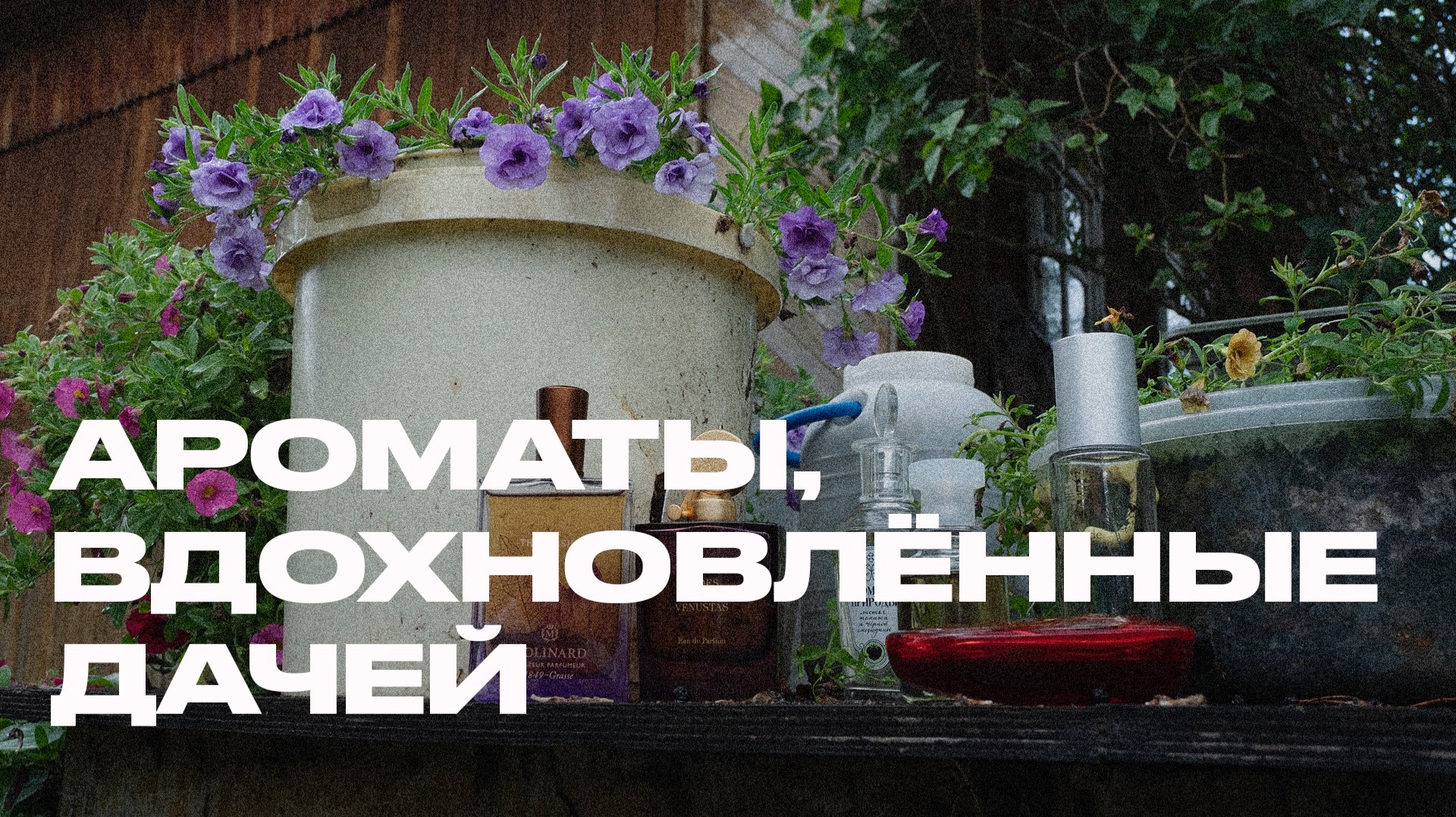 Ароматы, вдохновлённые дачей. Обзор зелёных летних ароматов: томатный лист, травы, свежесть