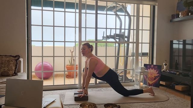 Vinyasa Yoga