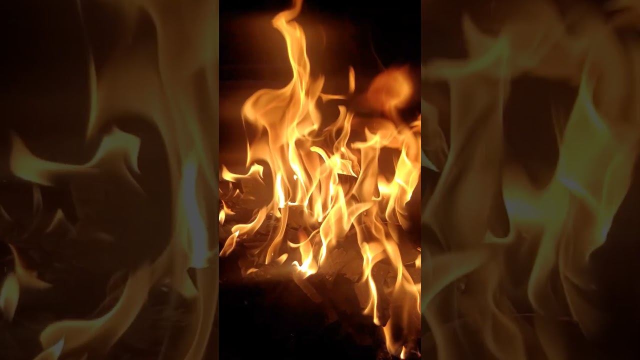 Ни кто не свободен. #удачныевыходные #свобода #успех #любовь