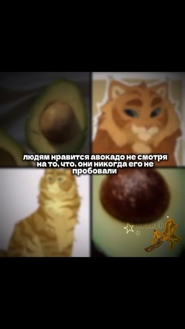 Мне нравится, просто атмосфера крутая. Не думала что так могу.