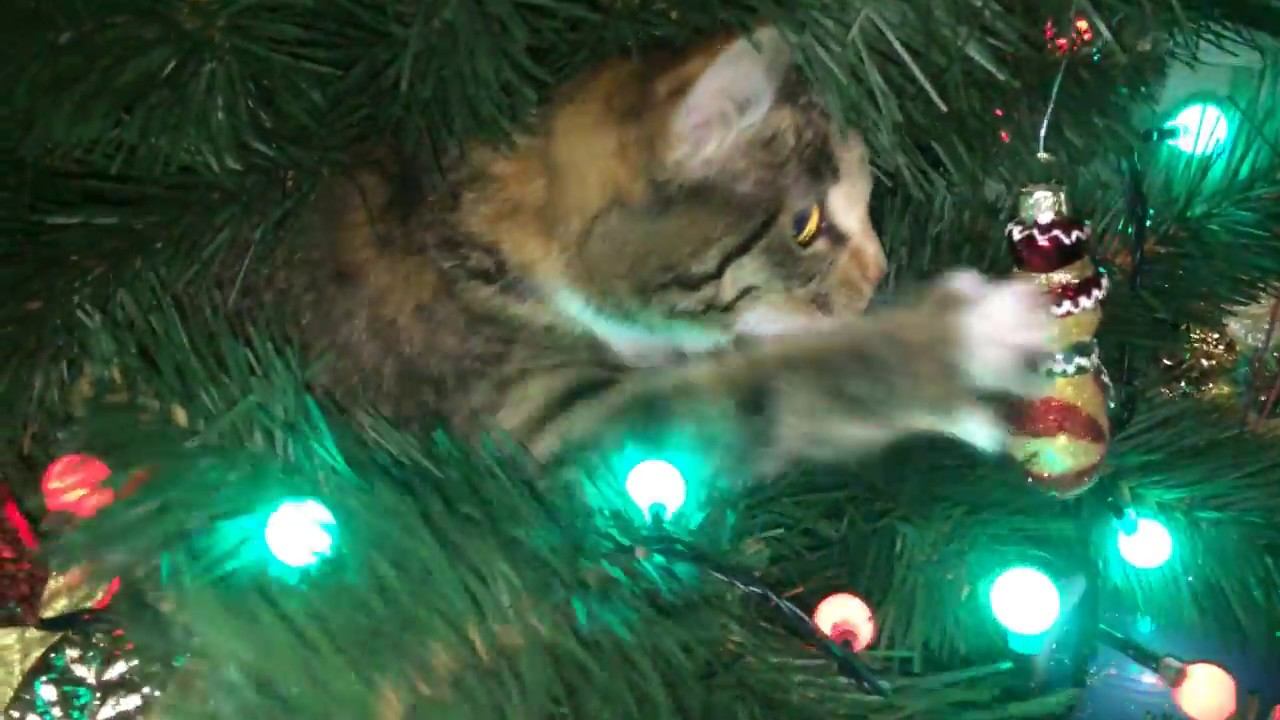 Из архива:Наряжаем ёлку 🎄 Жизнь в деревне