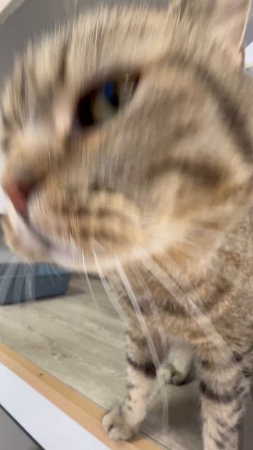 Комфорт Премиум в комнате солнечной