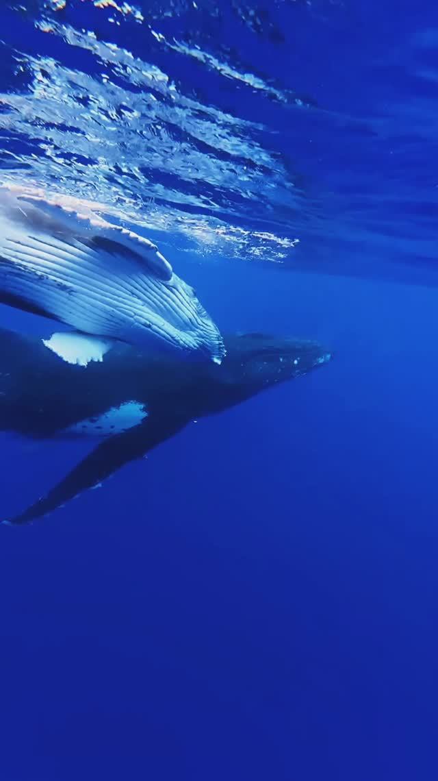 Мой первый неидеальный сниппет!