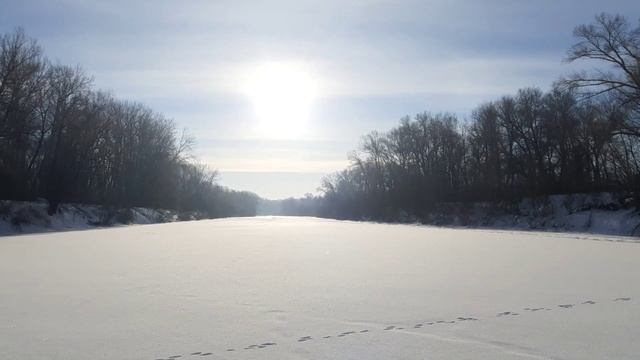Навстречу солнцу.😊