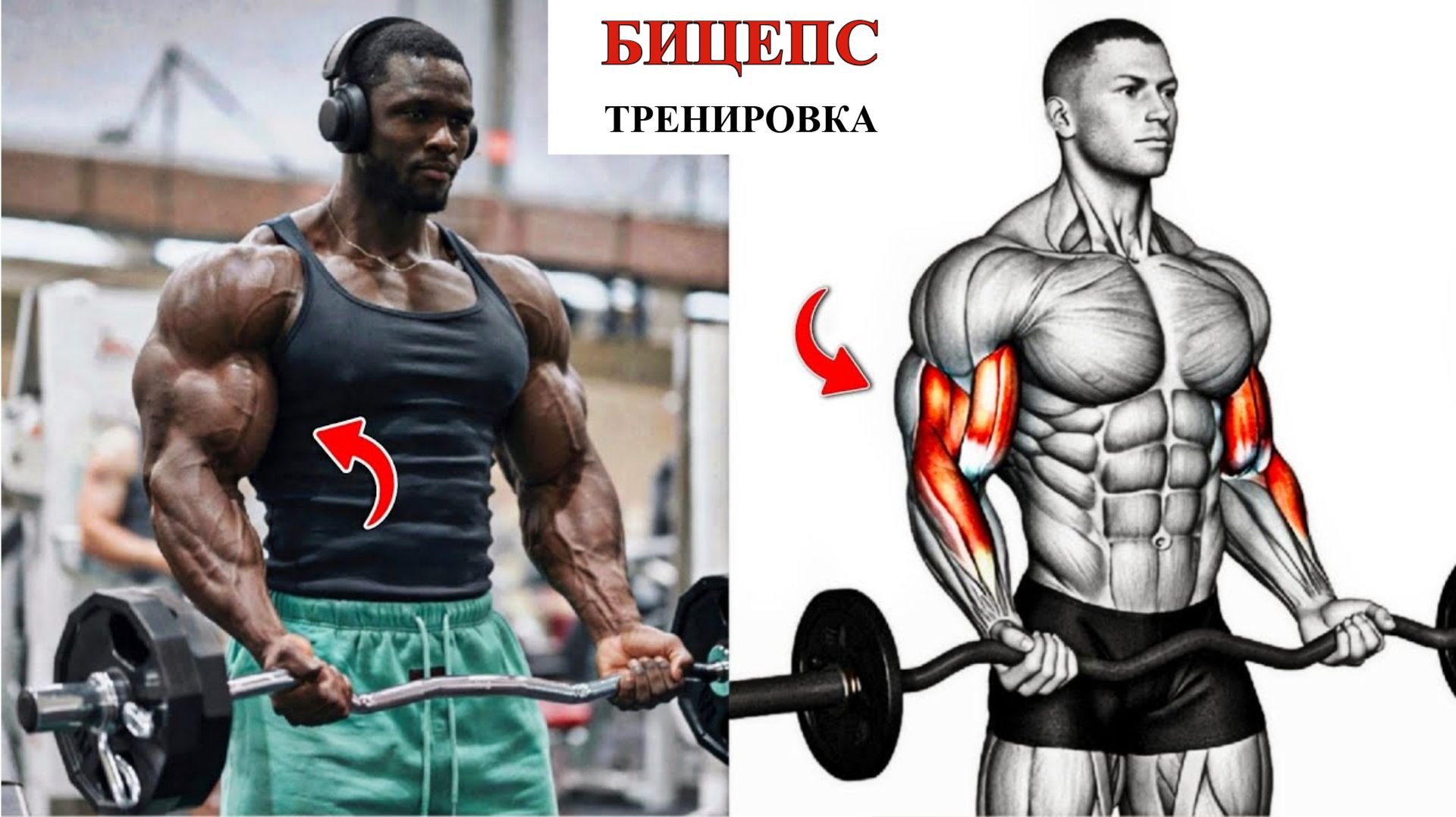 8 ЛУЧШИХ Упражнений Для Более Четкой Внутренней Формы Бицепса 🔥