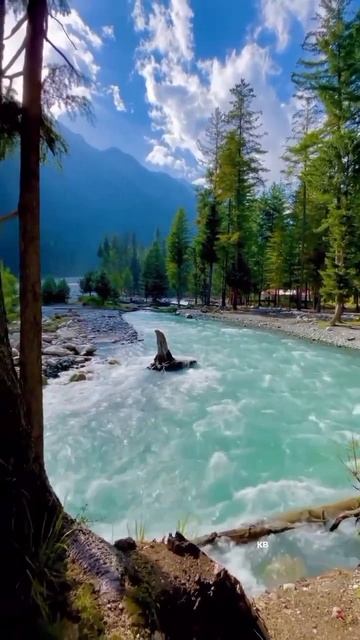 #katyboro #топ #врек #видео