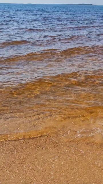 Карелия 2025. Челмужская коса. Онежское озеро. Июль 2025г (Часть 4)