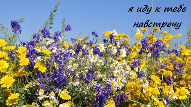 Песня - Я иду к тебе навстречу (кавер)