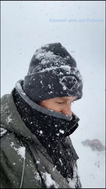 ВСЁ КАК ОБЫЧНО на рыбалке