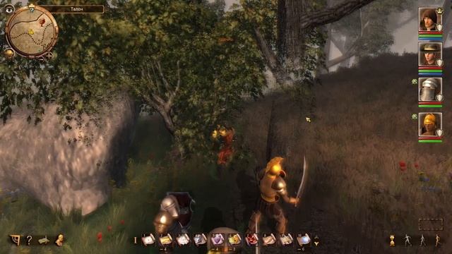 Уничтожитесь огров | Прохождение Drakensang: The Dark Eye | Серия #46