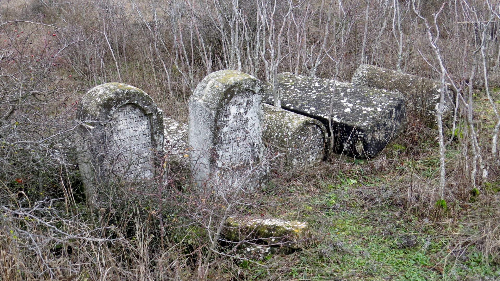 Старое караимское кладбище. Феодосия.